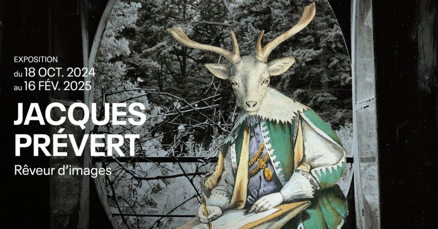 Silence, on colle - Wanderer